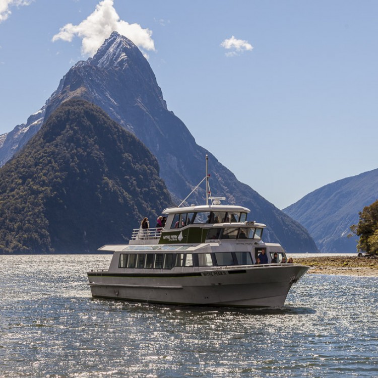 Milford Sound Coach, Cruise and Walk | Trips & Tramps